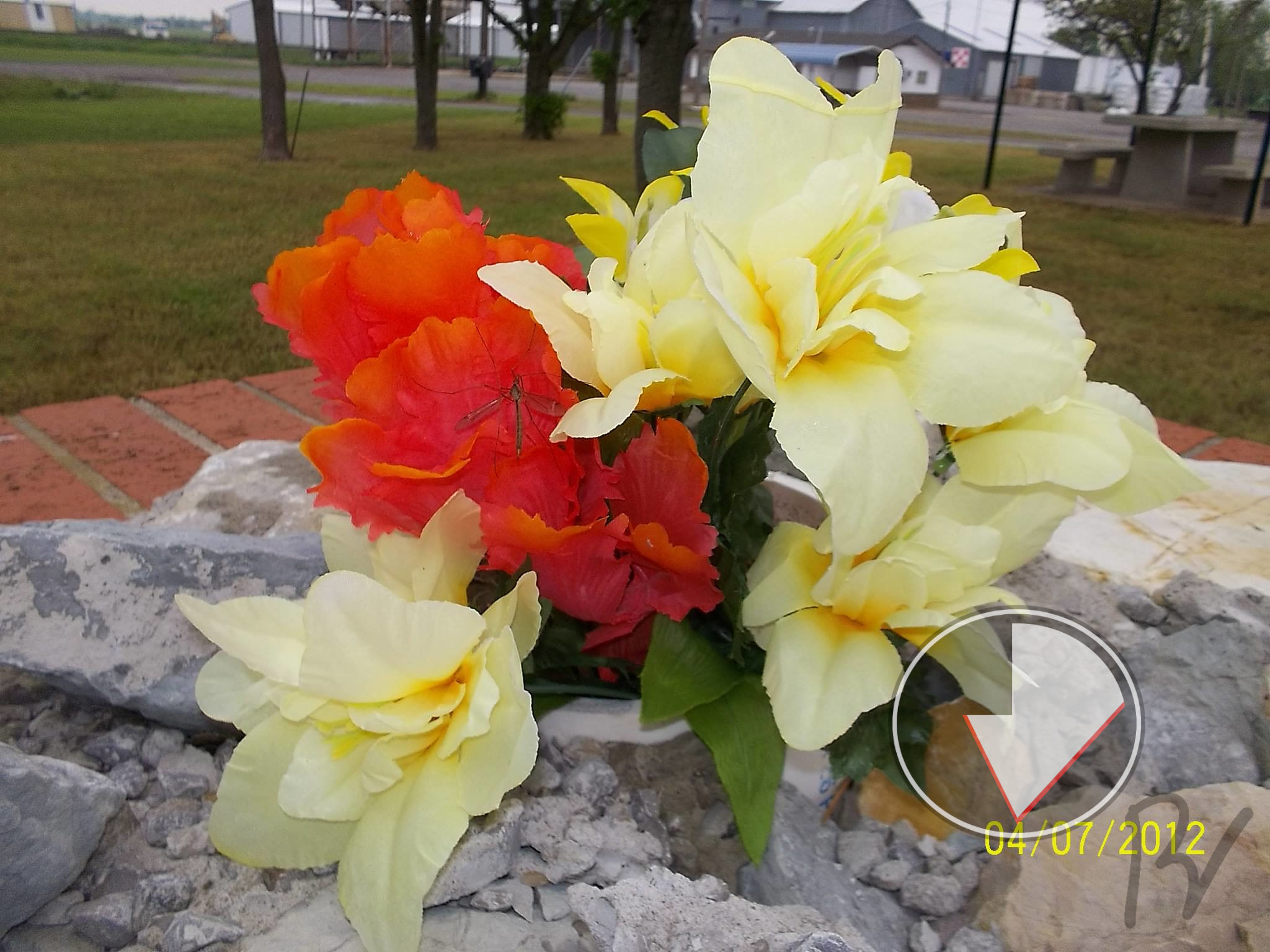 2012 Photography – Roe Vance Art